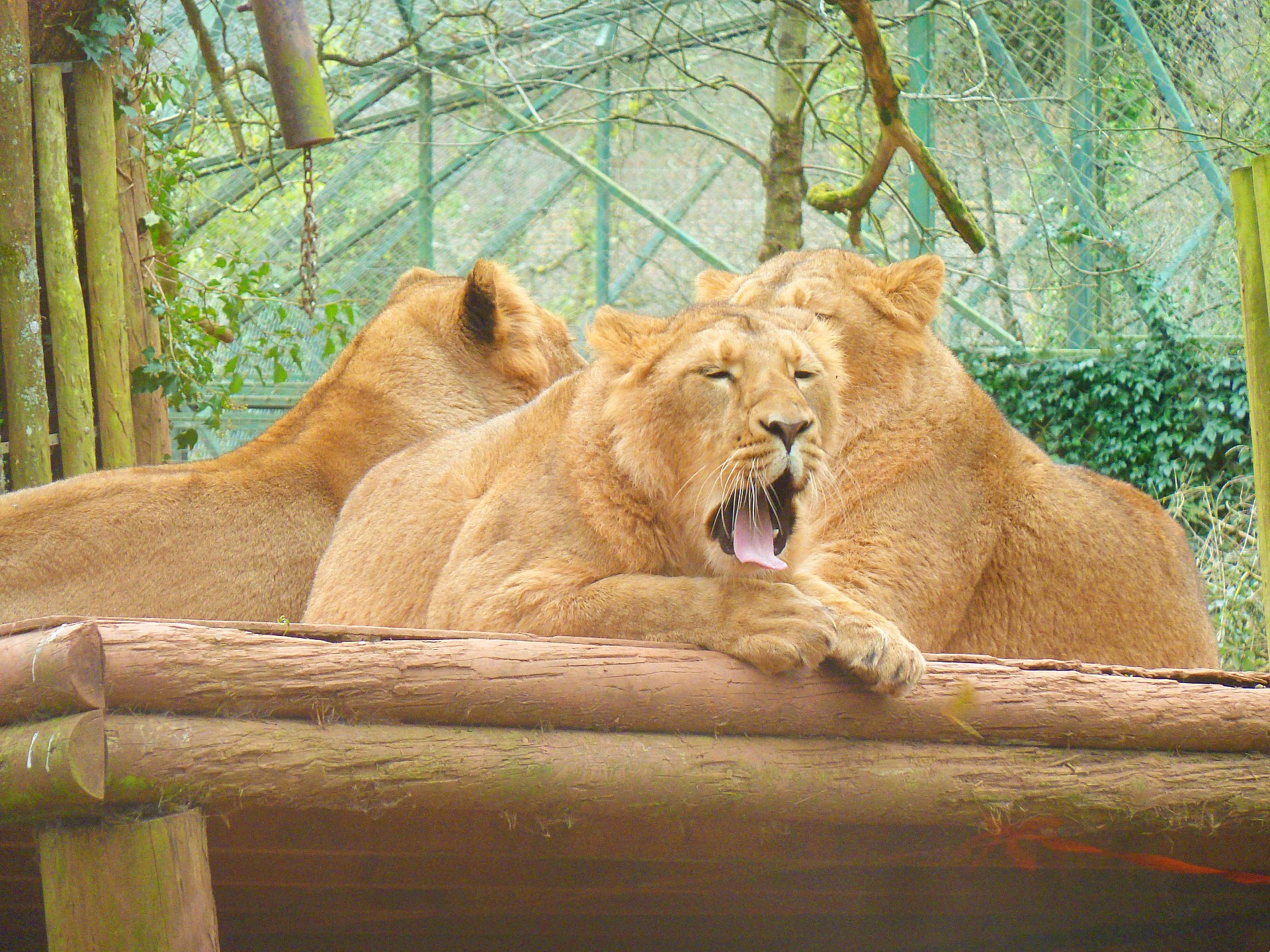 English Riviera Attractions - All Year Round Visitor Attractions